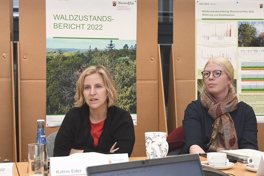 Katrin Eder: „Gesunde Wälder bedeuten mehr sauberes Wasser ...